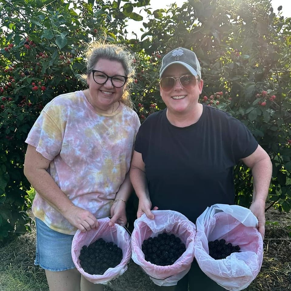 Weekly U-Pick Blackberry Hours – The King's Good Vineyard and Berry Farm