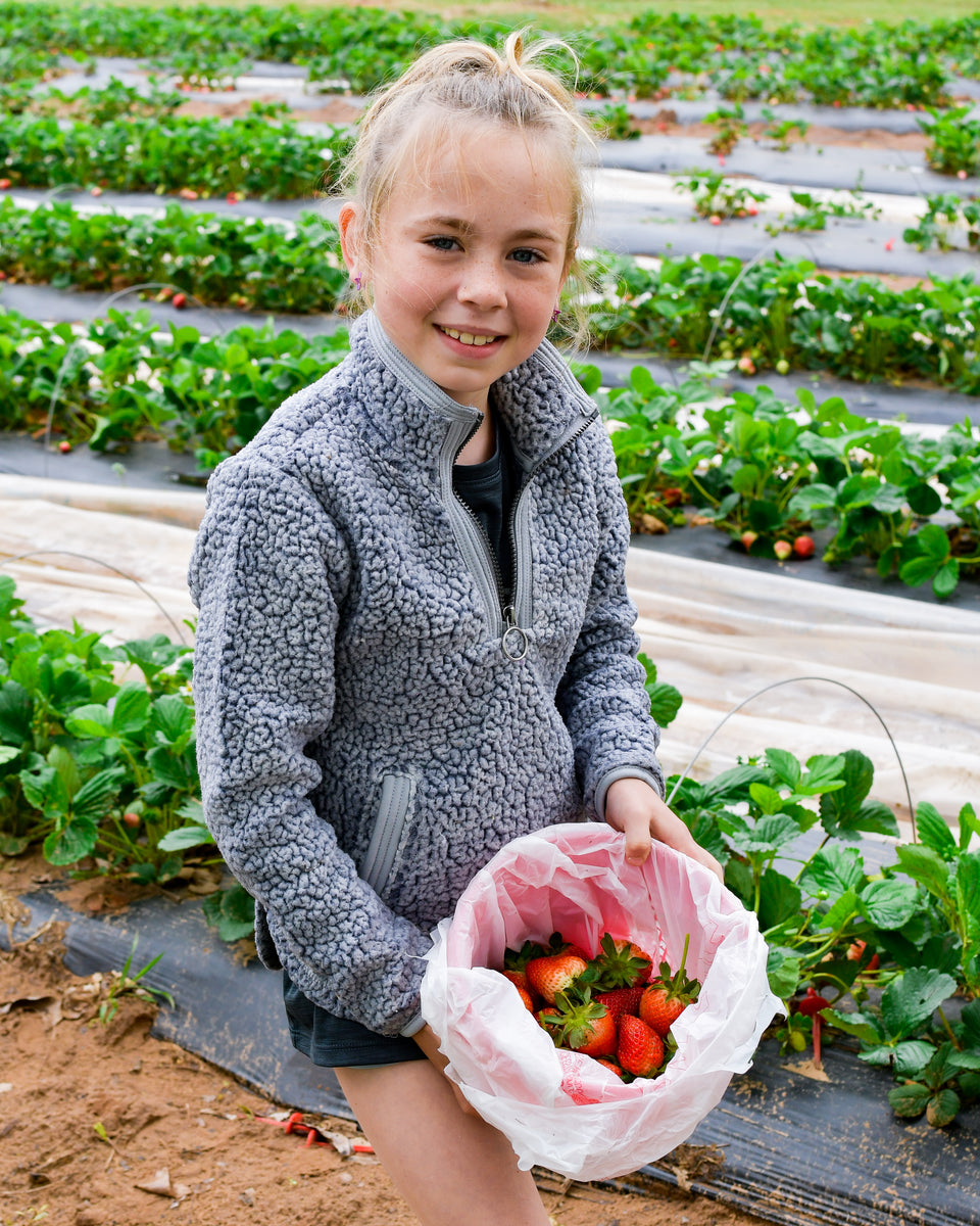 Open Saturday 10am-1pm, Rain or Shine! – The King's Good Vineyard and ...