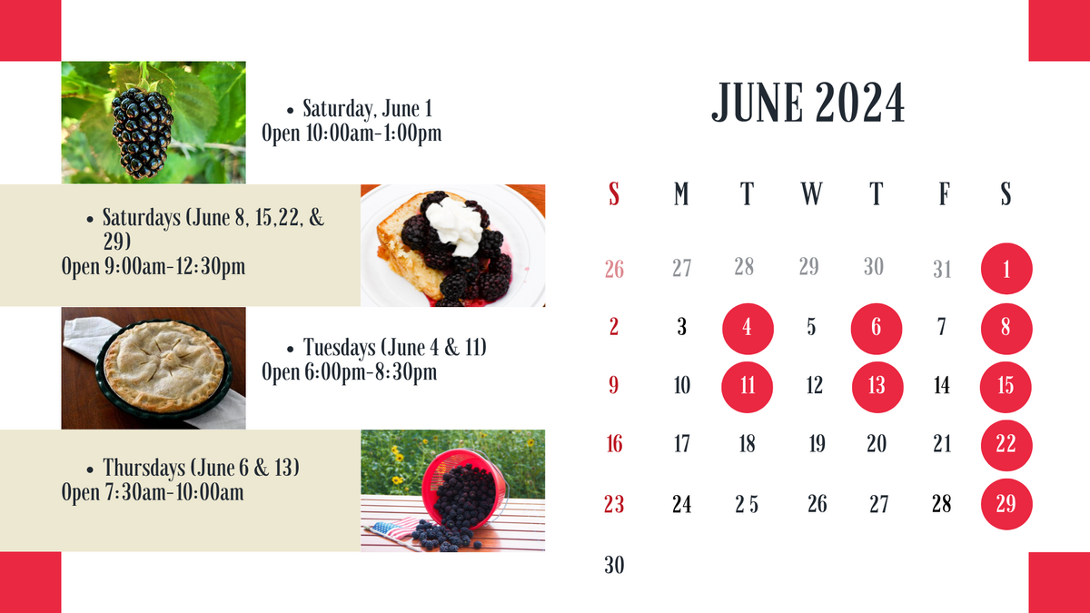 June Schedule of Events! – The King's Good Vineyard and Berry Farm